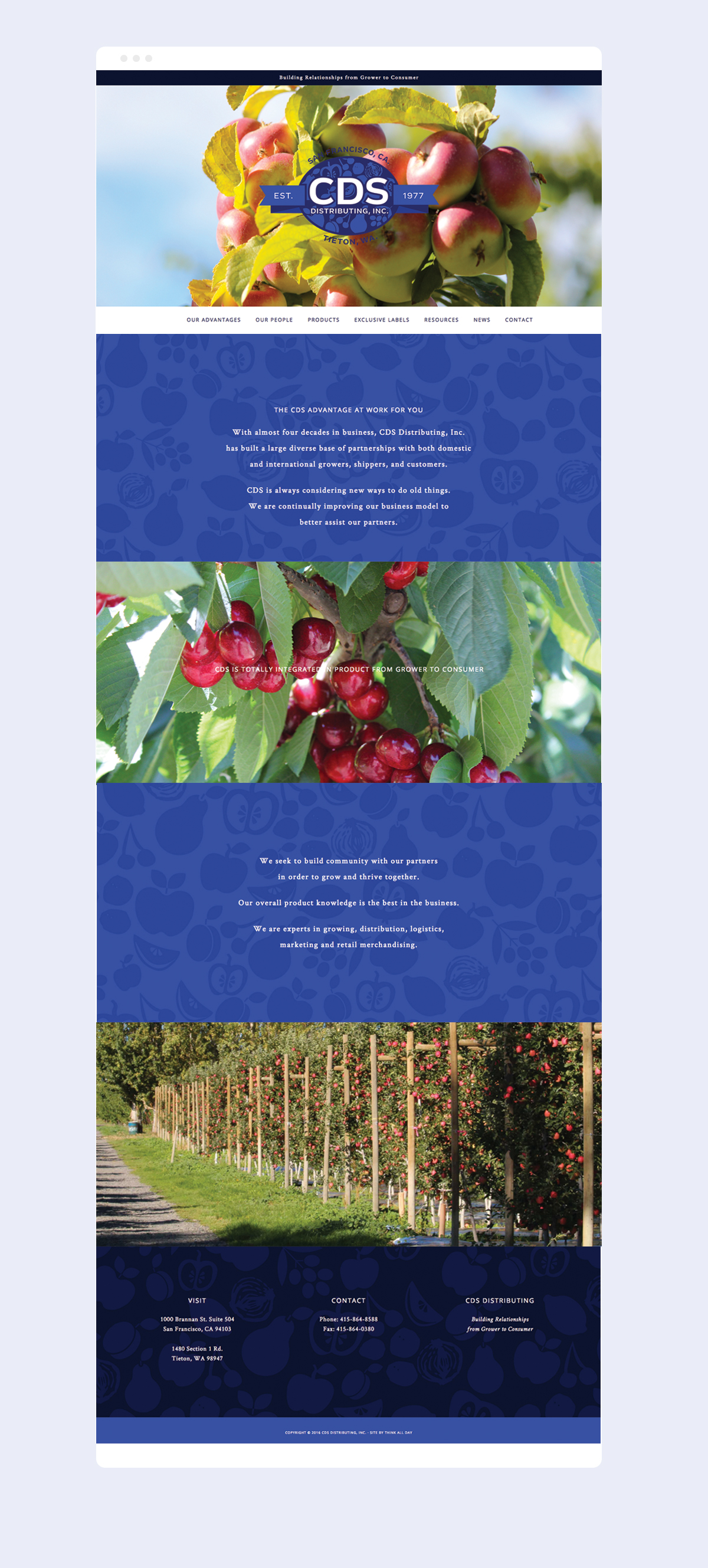 Website Design + Branding - CDS Distributing Inc // Think All Day